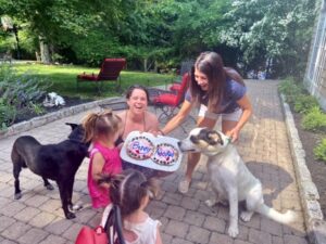 Bali - A New Chance Animal Rescue